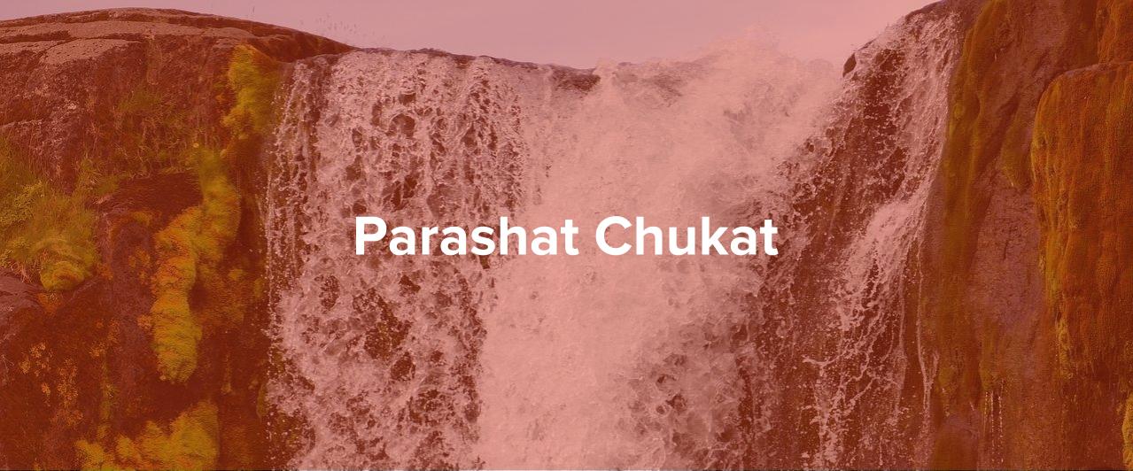 Parashat Chukat – Bat Kol Alum